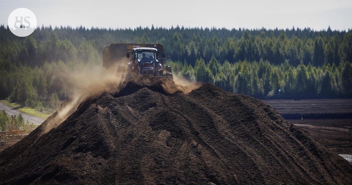 Ensi viikolla julkistettavasta turveraportista leimahti riita ...