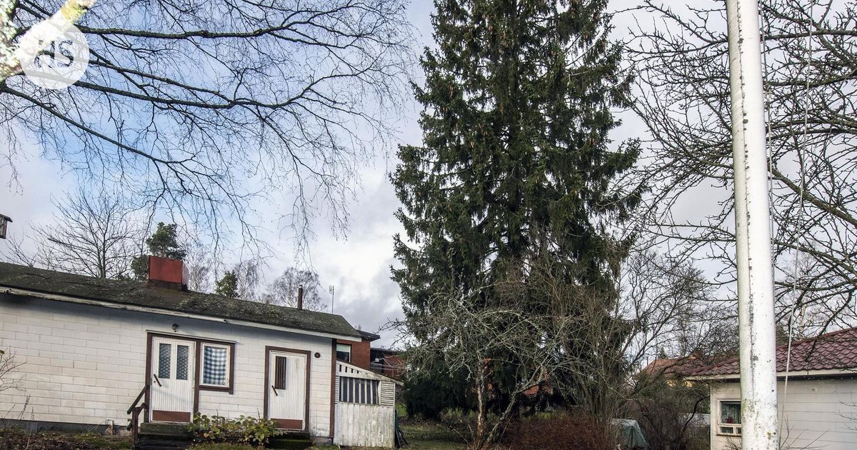 Ritva Remes otti liikutuksen takia tuolista tukea, kun kaupungilta ...