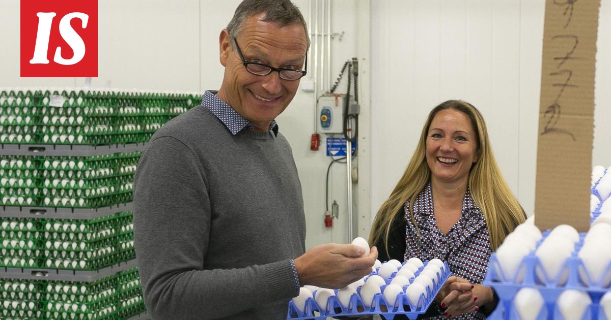 Kuinka kauan kananmuna oikeasti säilyy? Näin vastaavat asiantuntijat ...