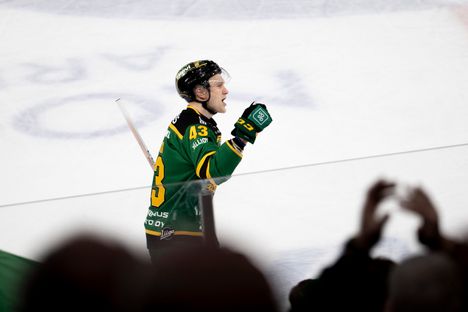 Ilvekselle sensaatiomainen voitto CHL:ssä – Junioreilla ikimuistoinen ...
