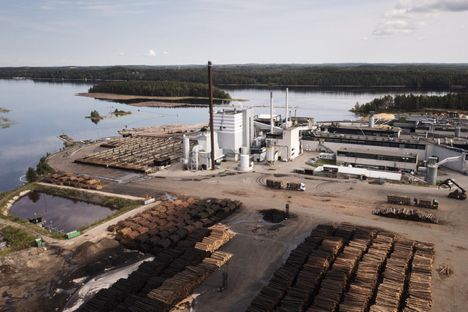 UPM harkitsee vaneri­liike­toiminnan tulevaisuutta: myynti tai ...