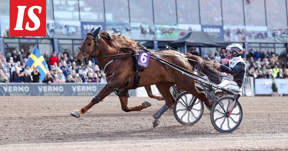 Odotettu vastaus tuli – myös Issakan Valo hyökkää kylmäveritähtien ...