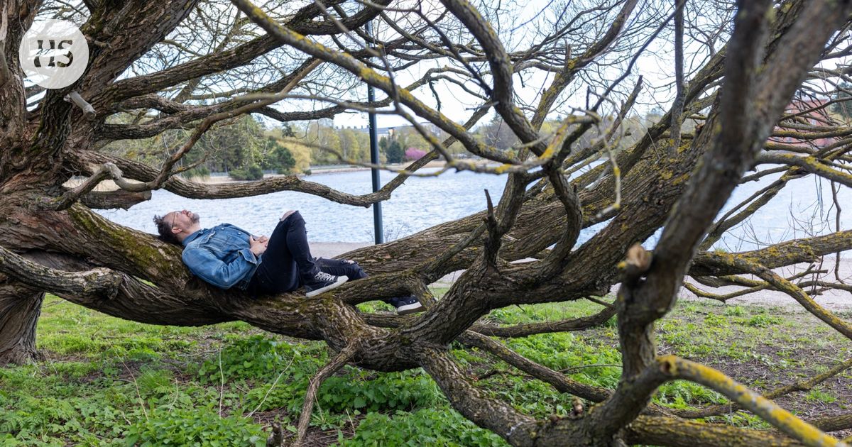 Larrie Griffis on harvinaisuus: ruotsalainen rakastui Helsinkiin | HS.fi