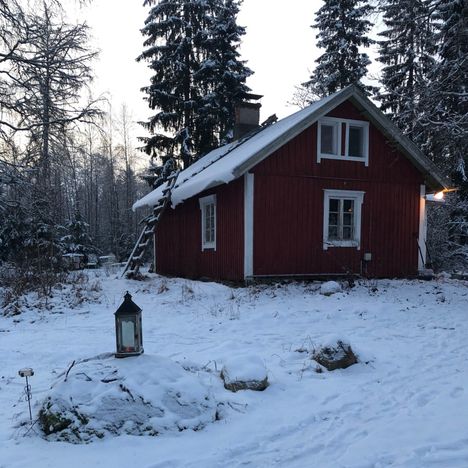Sami Garam nauttii mökistään metsän keskellä - Ilta-Sanomat