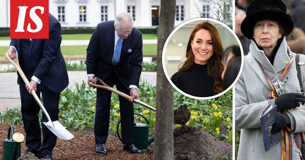 Näin paljon brittihovin jäsenet tienaavat - Ilta-Sanomat