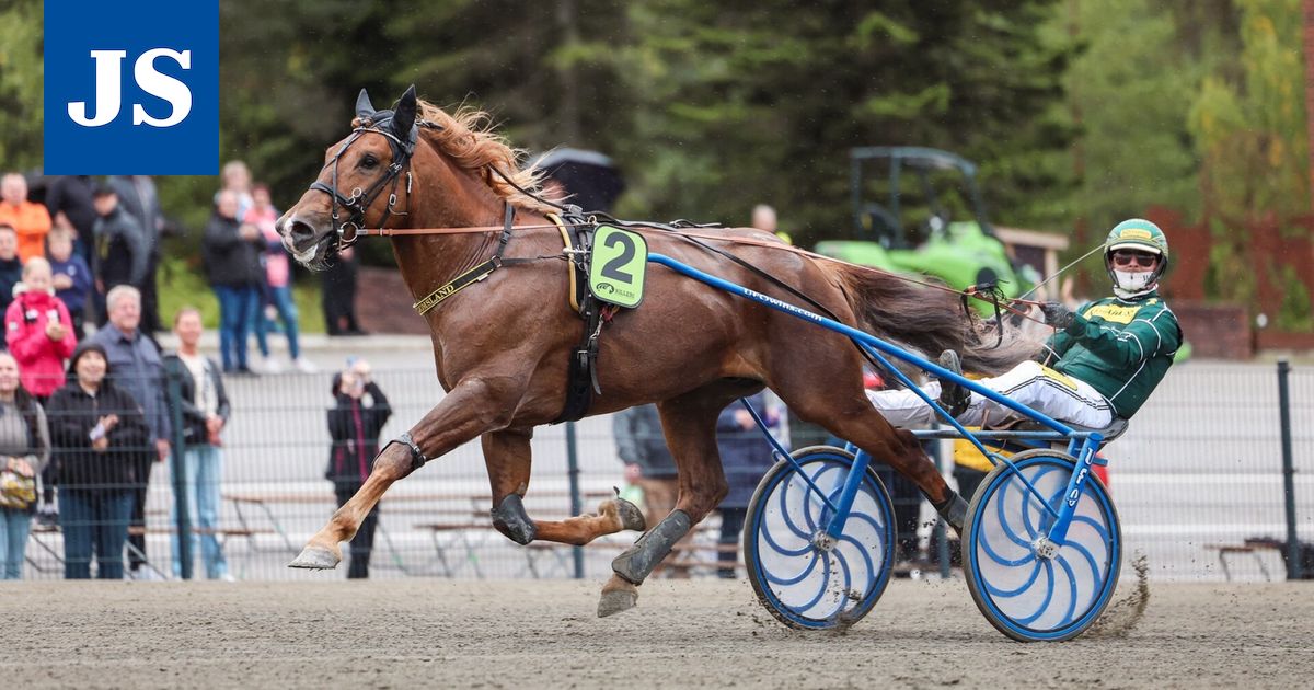 Hannu Torvinen ohjasti Weikon suomenhevosten Derbyn voittoon: ”En nyt ...