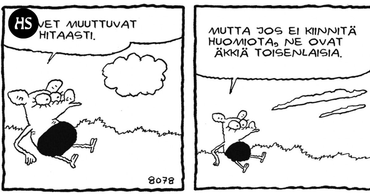 Viivi ja Wagner | HS.fi