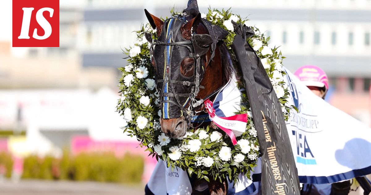 Eric the Eel paras Harper Hanoverissa – Bengurion Jet kiersi Sweden ...