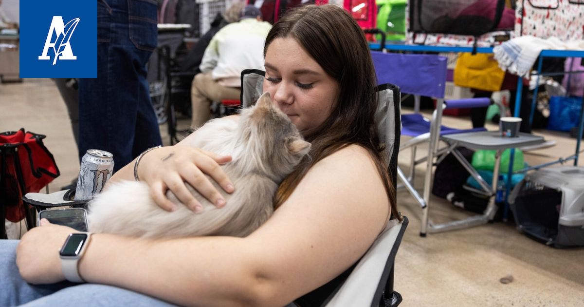Eläinystävämme ihmisineen kohtasivat rapsuttelun merkeissä – katso kuva ...