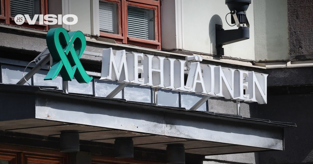 Mehiläisellä iso yrityskauppa – ”Meistä tulee Pohjoismaiden ...