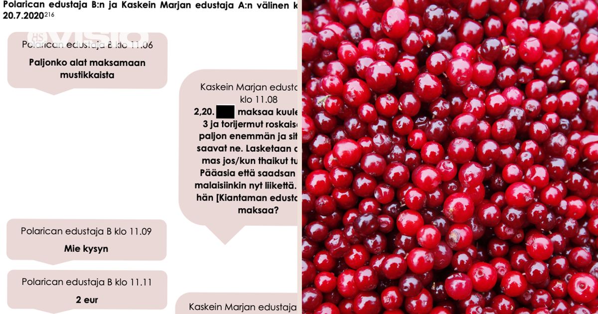 Viranomainen paljasti Suomen marja-alalta valtakunnallisen kartellin ...