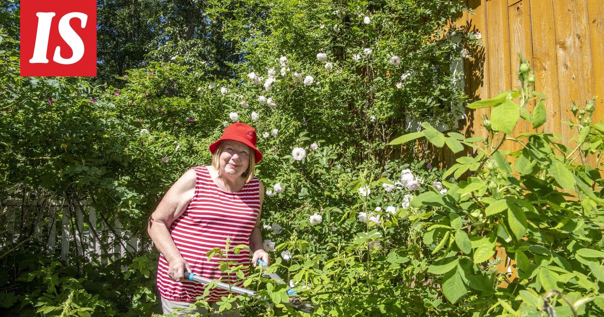 Merva Mikkola on nähnyt liki kaiken: Hän on tavannut John Lennonin ...