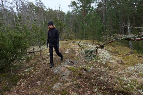 Aktivistit: Helsingin kaupunki aloitti Stansvikin hakkuut | HS.fi