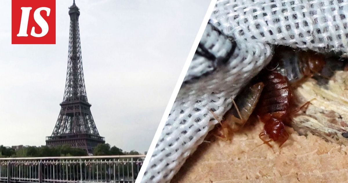 Pariisin ludeongelma aiheuttaa eripuraa parlamentissa ja nostaa tuholaismyrkkyjen myyntiä - Ilta ...