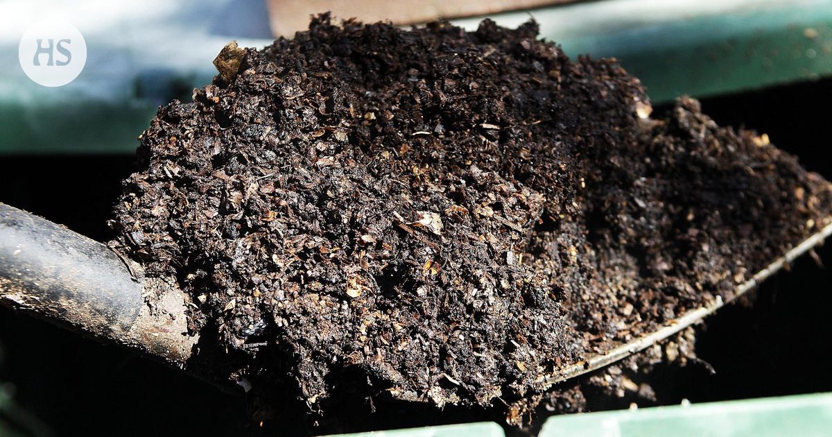 Biojätteen ravinteet saa hyötykäyttöön kompostoimalla – HSY tarjoaa ...