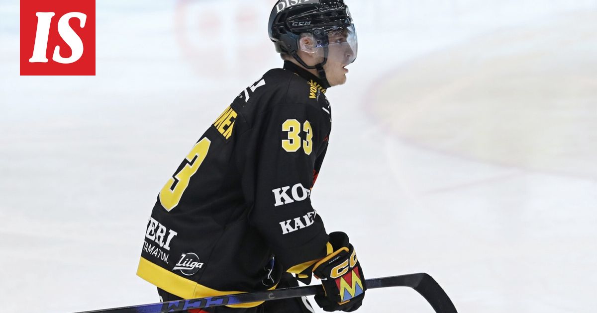 Roni Hirvonen sikaili – Topi Nättinen kertoo mielipiteensä - Ilta-Sanomat