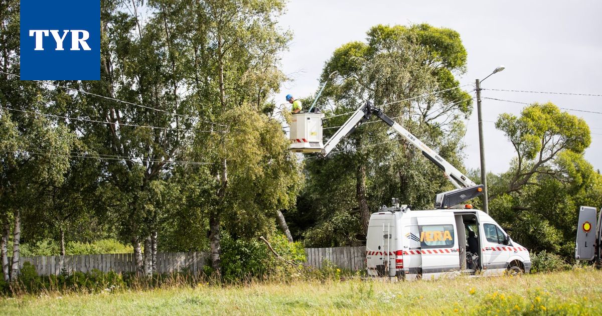 Metsät näyttävät säästyneen suurilta Sylvia-myrskyn tuulituhoilta ...