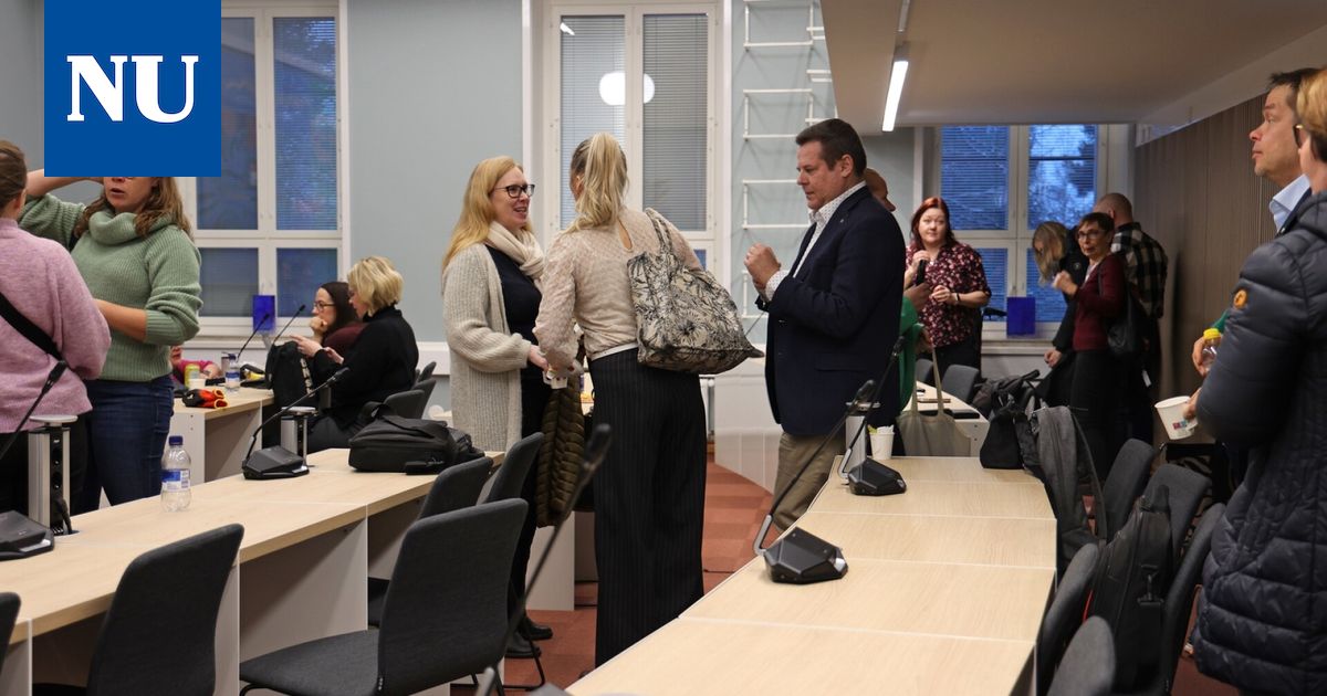 Esteettömäksi tehty puisto ei olekaan sitä, mitä luvattiin – Ottaako Nokian kaupunki ...