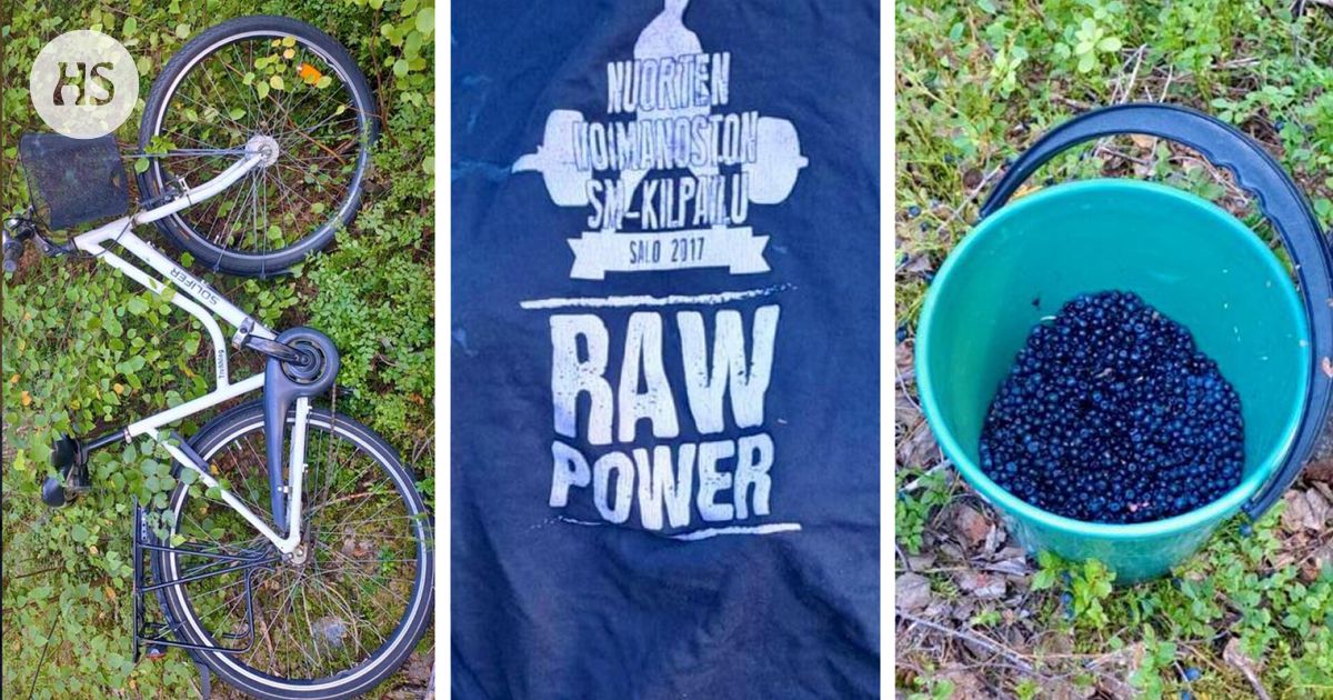 Metsän reunasta löytyi marjaämpäri, polkupyörä ja paita – Poliisin ...
