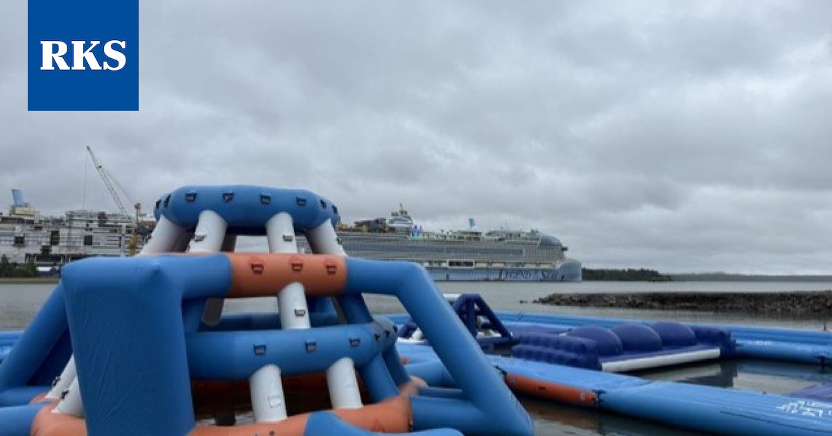Leijonat lahjoittavat 100 lippua Raision uuteen vesipuistoon ...