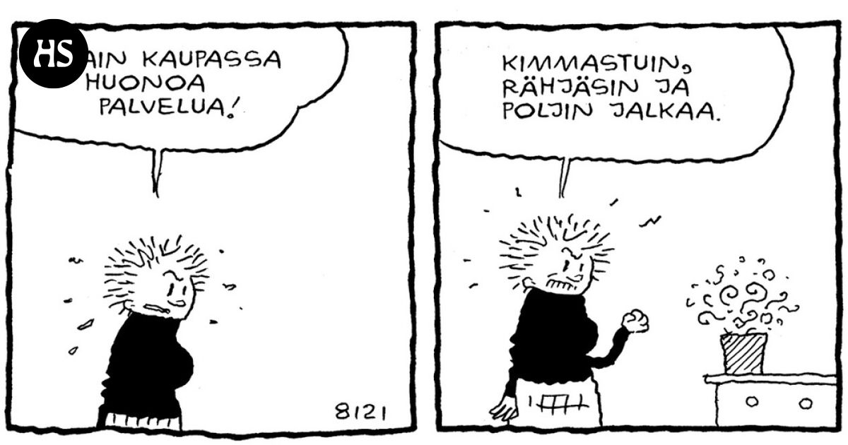 Viivi ja Wagner | HS.fi