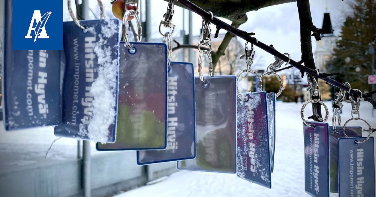 Moron heijastinpuu Tampereella Laikunpuistossa sai hitsin hyviä heijastimia