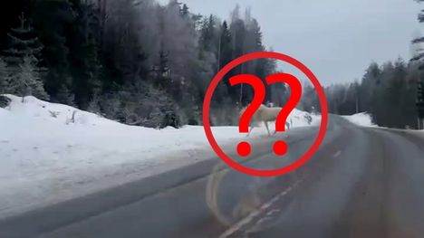 Ylöjärvi - Ilta-Sanomat