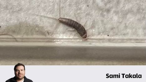 Muutin uuteen kotiin ja törmäsin ongelmaan, jolle ei voi mitään | HS.fi