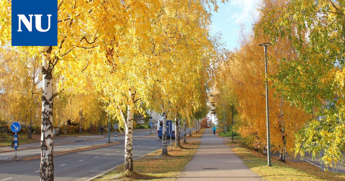 Nokian Uutiset: lukijoiden syyskuvia - Nokian Uutiset