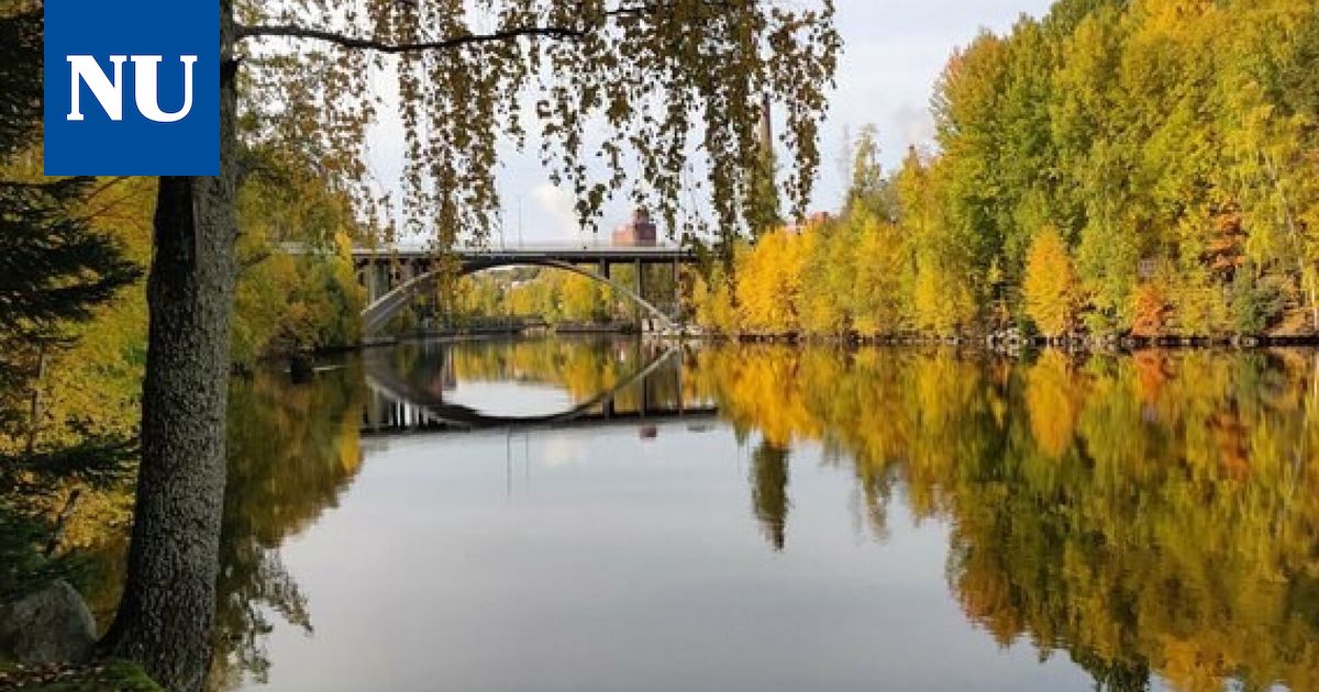 Lukijoiden syyskuvat: Näin kauniilta näyttää Nokia lokakuisessa asussaan - Nokian Uutiset