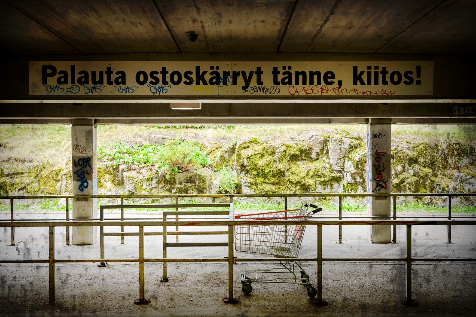 Nyt puhuvat karmean peukku-todellisuuden nähneet - Ilta-Sanomat