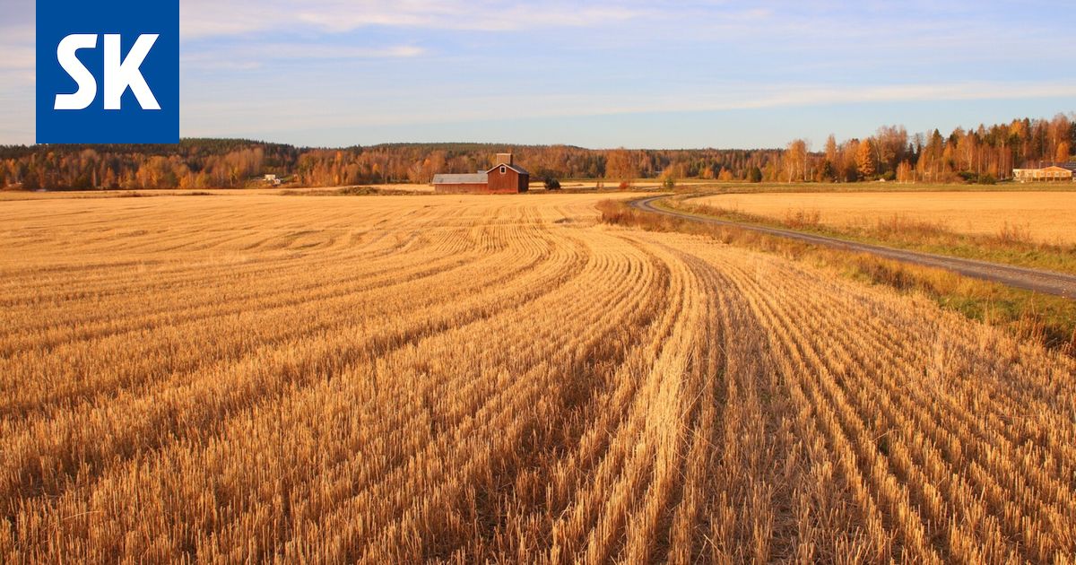 Hehtaari sänkipeltoa paloi Säkylässä - Satakunnan Kansa