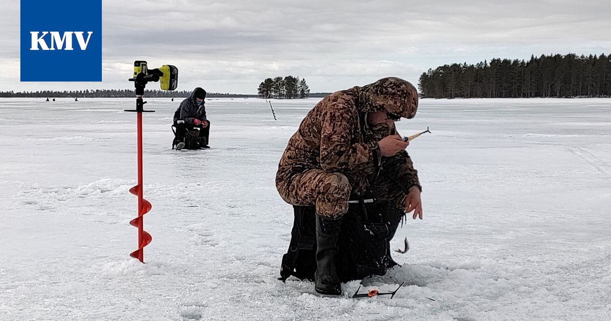 Kolhon kalaveikot mukana SM-särkipilkissä – Mervi Nieminen 15 parhaan ...