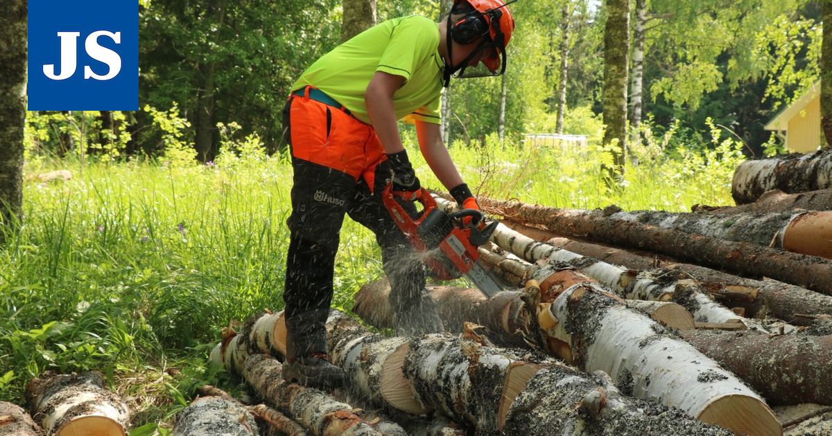 Onko tässä Keski-Suomen nuorin metsuri? 13-vuotiaalla Turo Ala ...