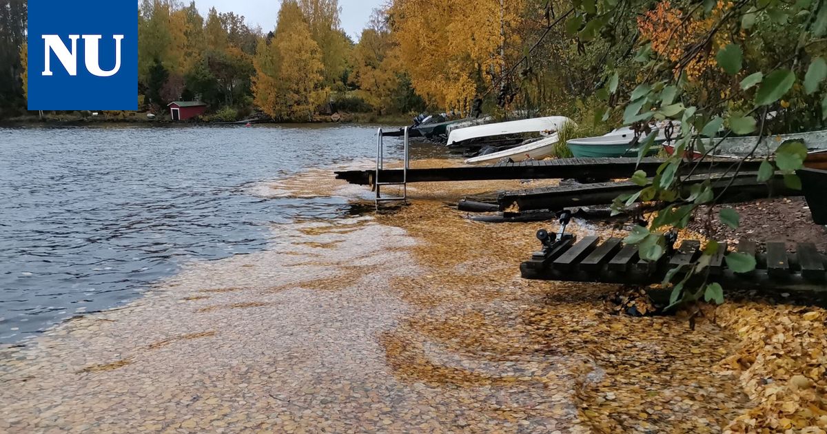 Nokian Uutisten lukijoiden syyskuvia - Nokian Uutiset