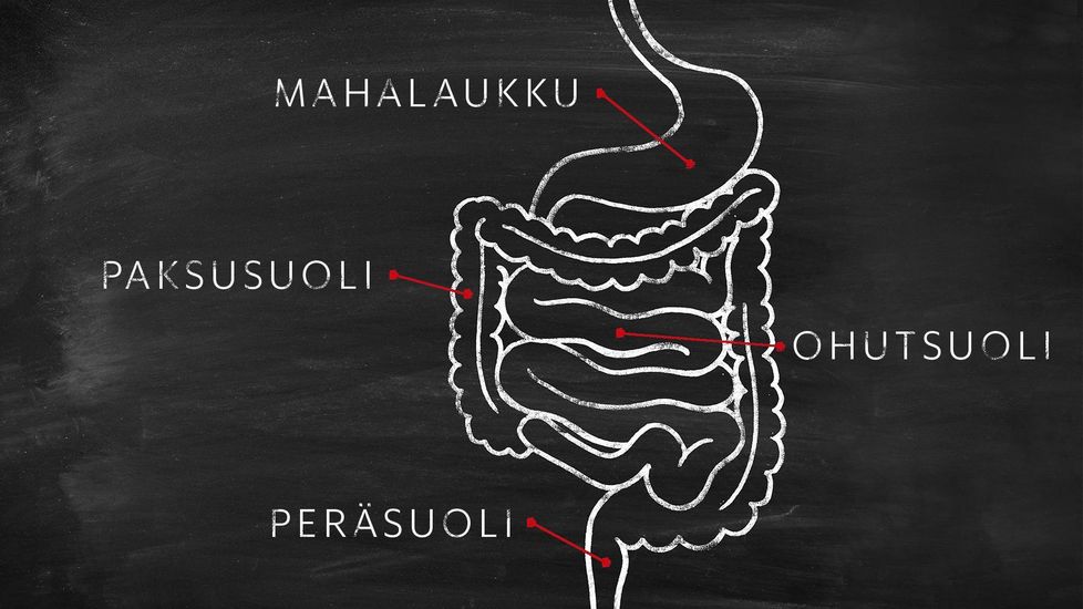 Hyvältä tuntuva vatsa ei aina voi hyvin, ja vehnäleipä jämähtää ...