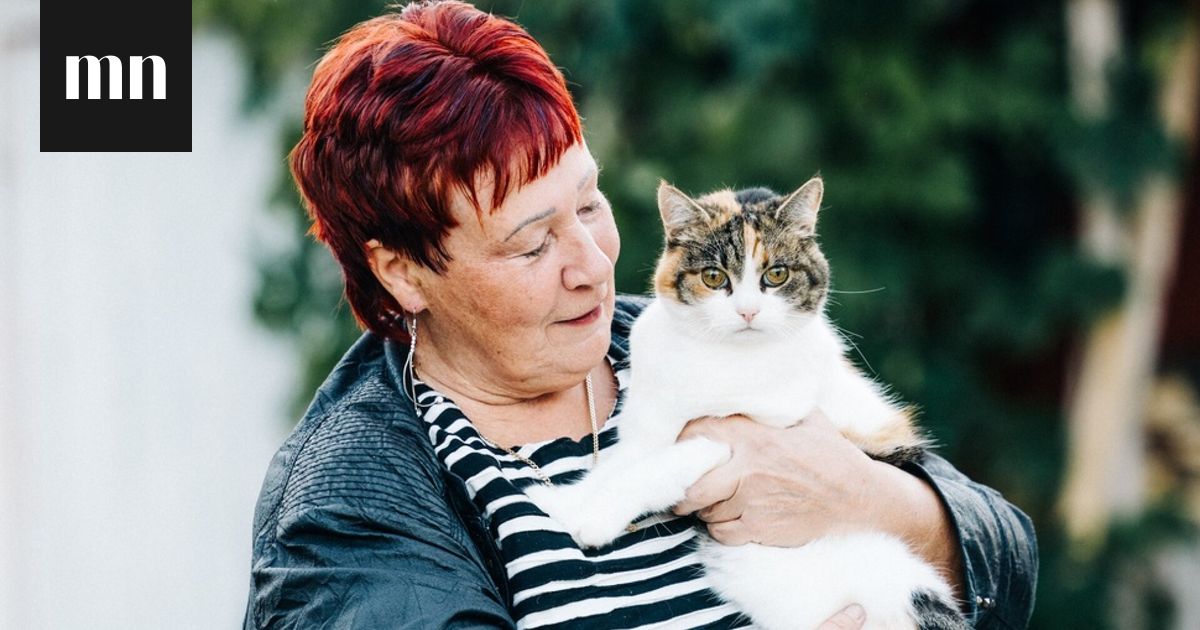 Työikäisen muistisairauden oireet sekoitetaan usein uupumukseen ...