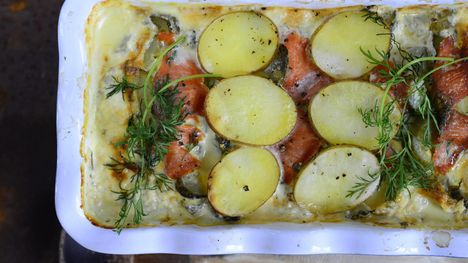 Kylmäsavulohikiusaus - Ilta-Sanomat