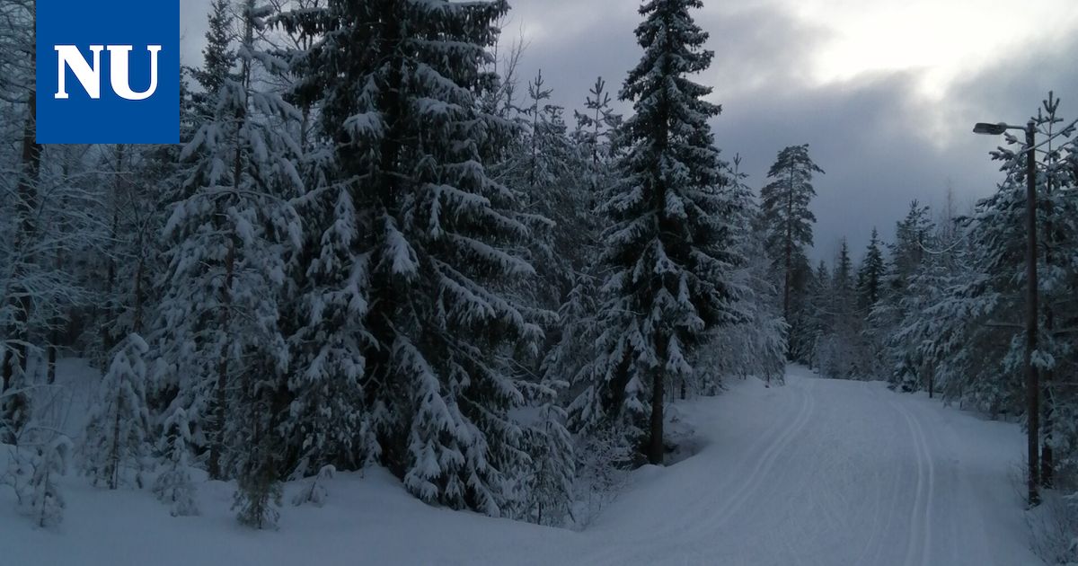 Lukijoiden talvikuvat: Nyt kelpaa hiihtäjän hiidellä - Nokian Uutiset