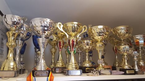 Helen Karim yritti vuosia Miss Suomeksi - Ilta-Sanomat