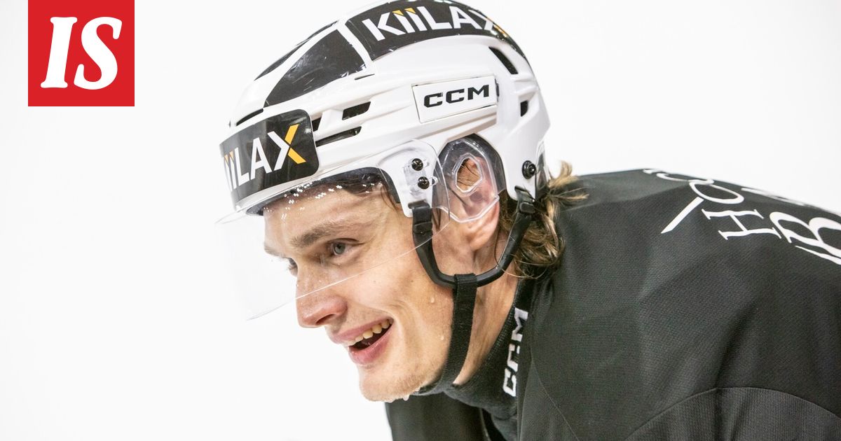 Leevi Selänne teki loppukauden sopimuksen Joensuun Kiekko-Poikiin ...