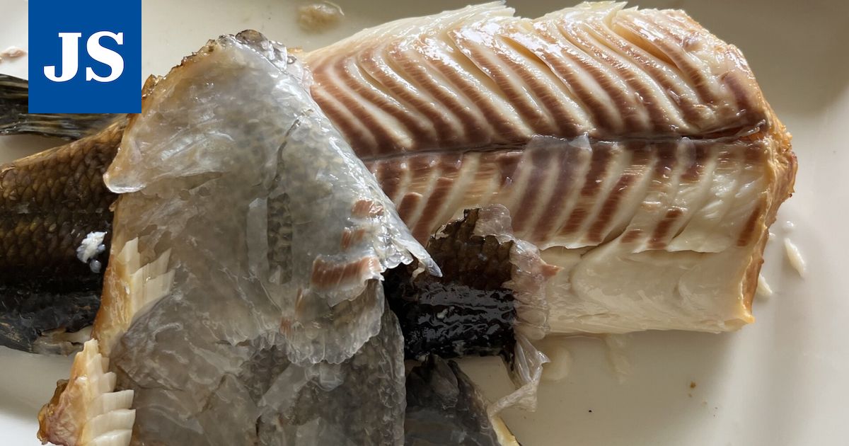 Tsernobylin laskeuma ei rajoita – Kesäisen saaliin voi syödä huoletta ...