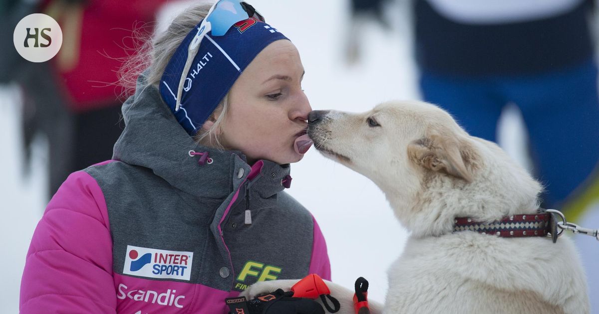 17-vuotiaana Sini Pyy käytännössä katkesi vyötärön kohdalta – nyt hän ...