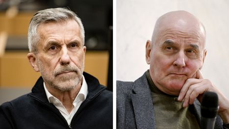 Viittaako tekotapa murhaan vai tappoon? Näin arvioi Matti Tolvanen | HS.fi