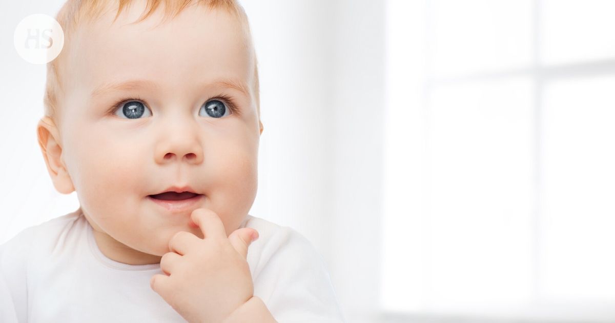 Elämä on ihmeellistä – mutta miksi? | HS.fi