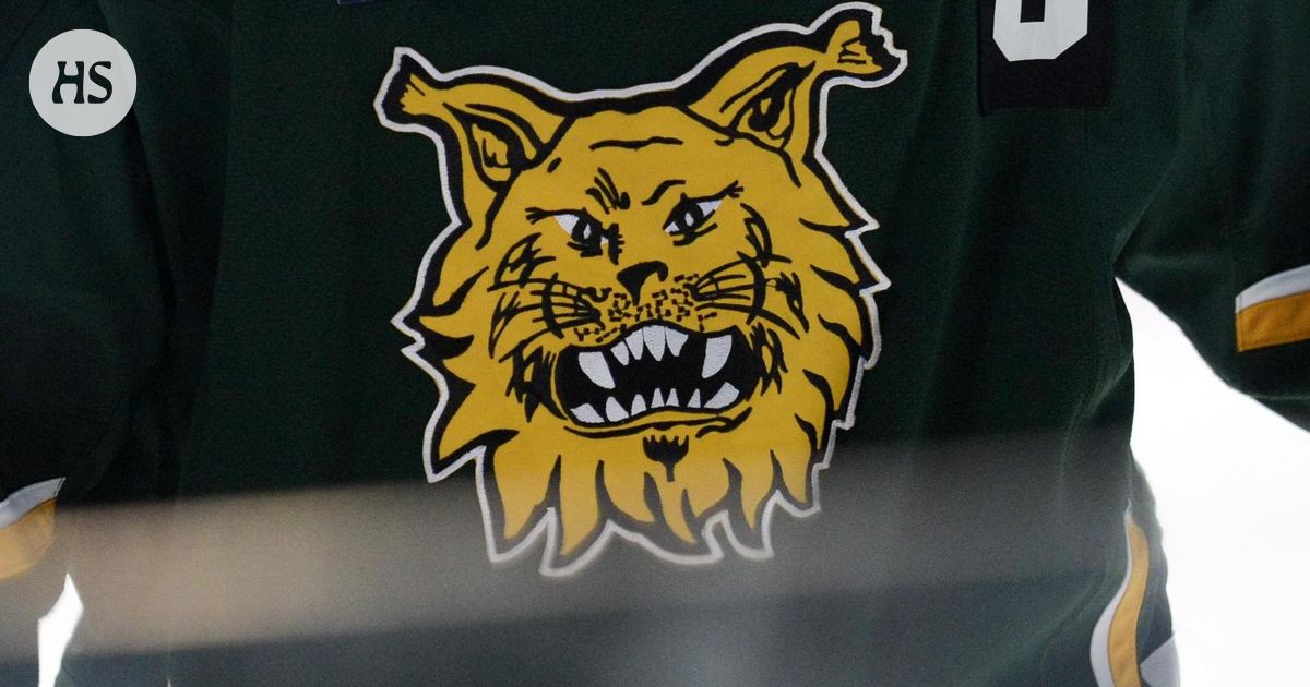 Ilves irtisanoo ja leikkaa koko henkilöstönsä palkkoja määräajaksi | HS.fi