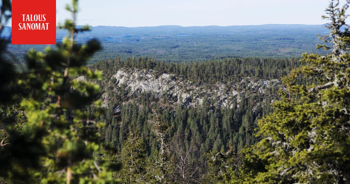 Suomen metsät ja suot ovat köyhtyneet selvästi itsenäisyyden aikana ...