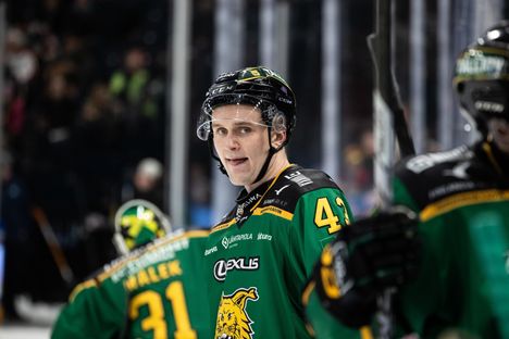 Ilves riitauttaa Otto Latvalan saaman pelikiellon: ”Ei ole ...