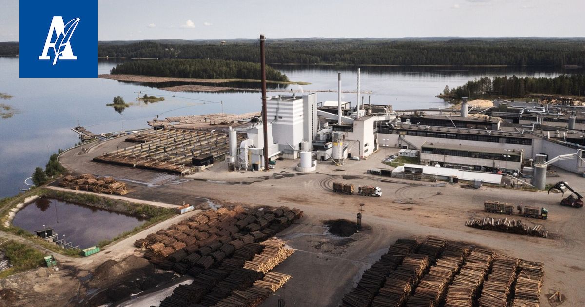 UPM harkitsee vaneri­liike­toiminnan tulevaisuutta: myynti tai ...