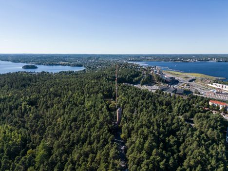 Pyynikin ainutlaatuinen harjumetsä on arvokas lahja – Sen säilyminen ja ...